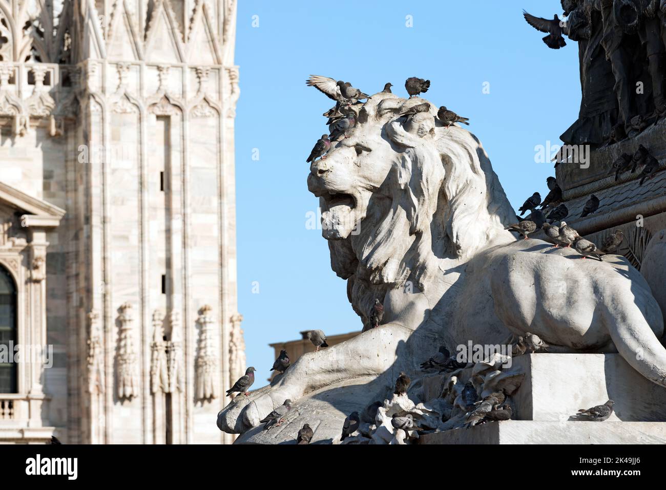 Many pigeons above a lion marble statue in downtown of Milan (Milano ...