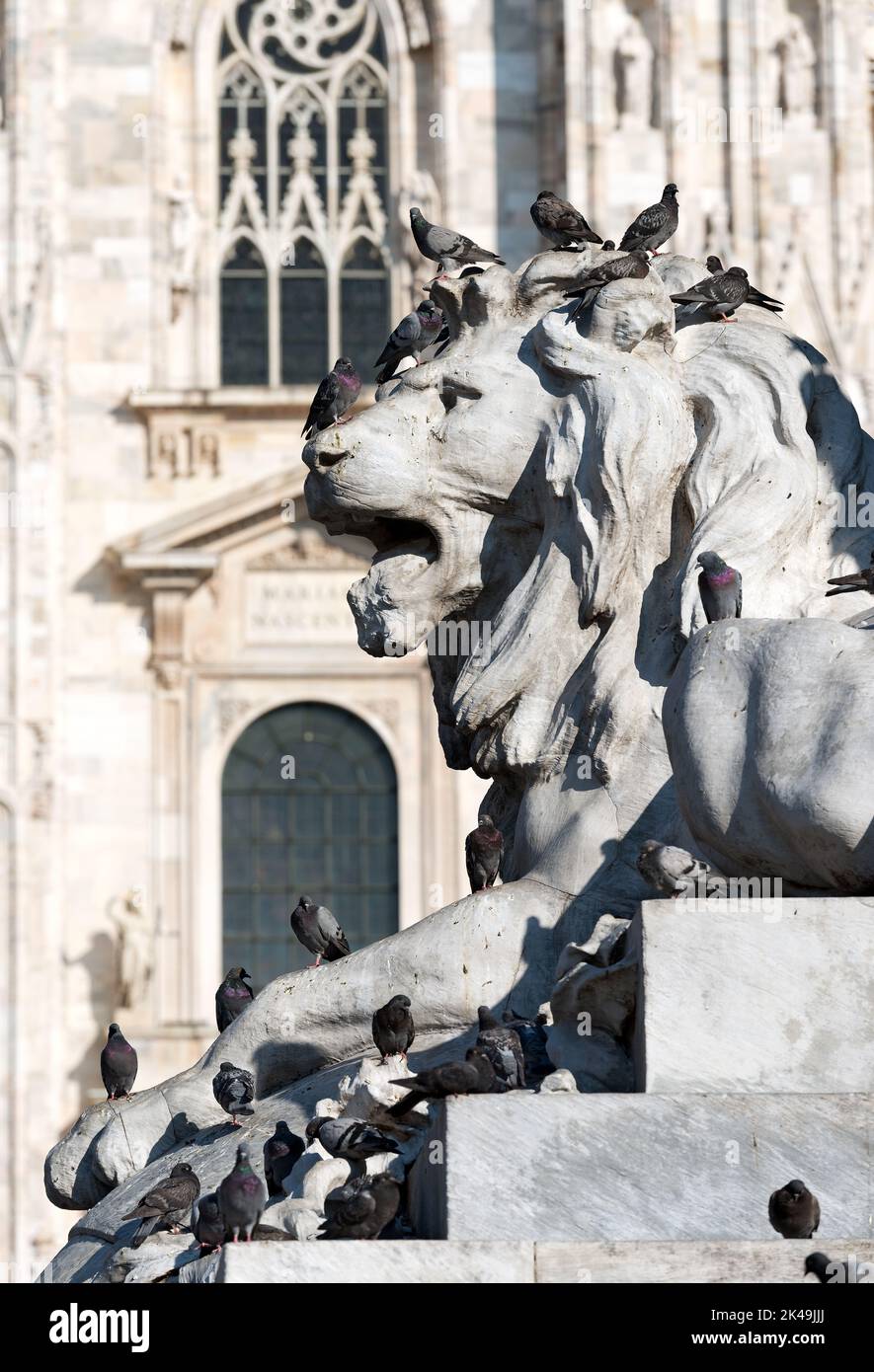 Animals In Milan Italy at Xavier Vara blog