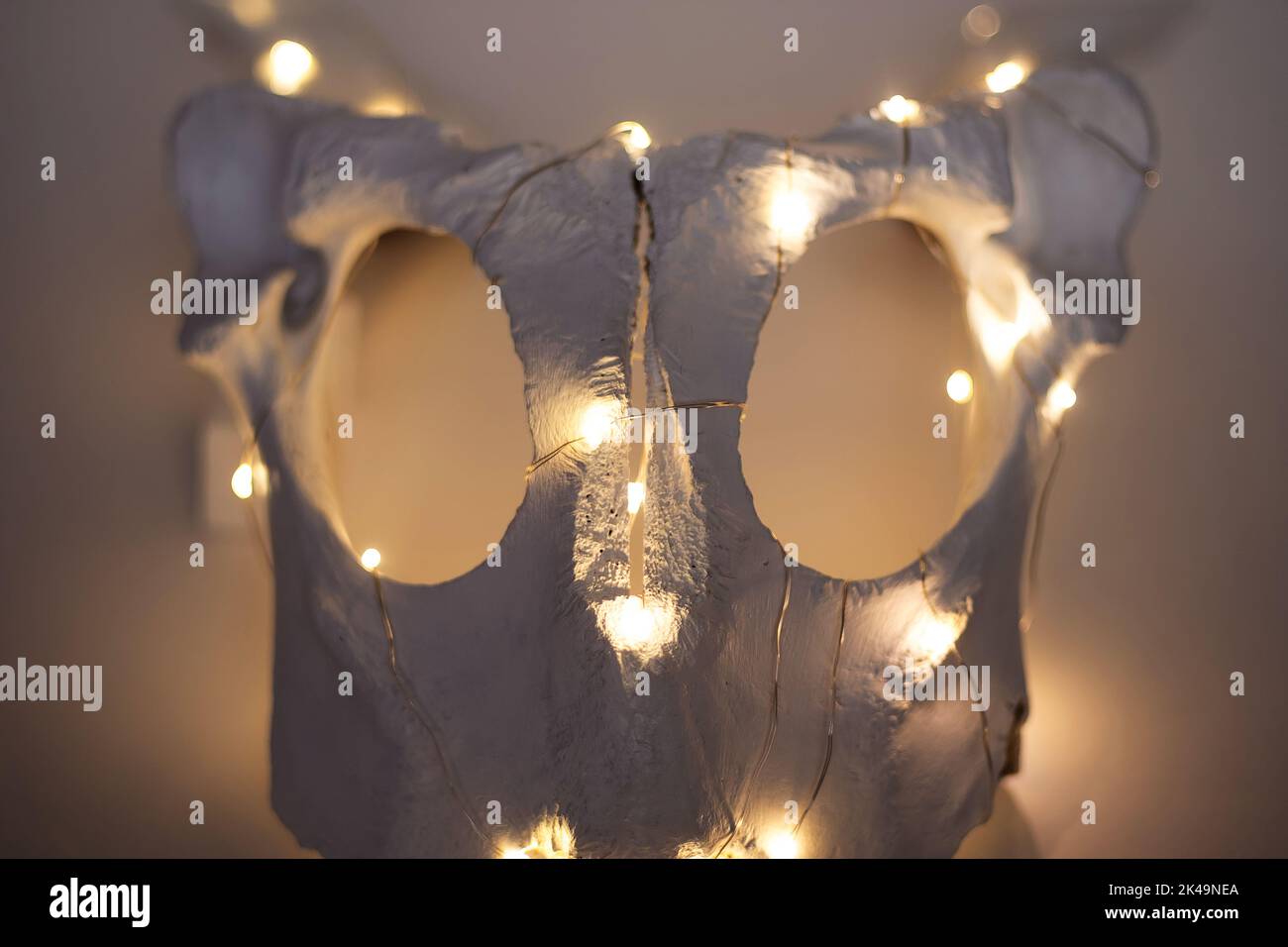 Halloween cow skull with garland lights inside on white background ...