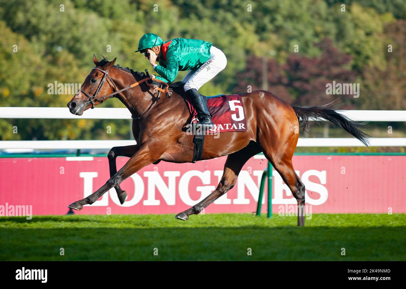 Prix daniel wildenstein hi-res stock photography and images - Alamy