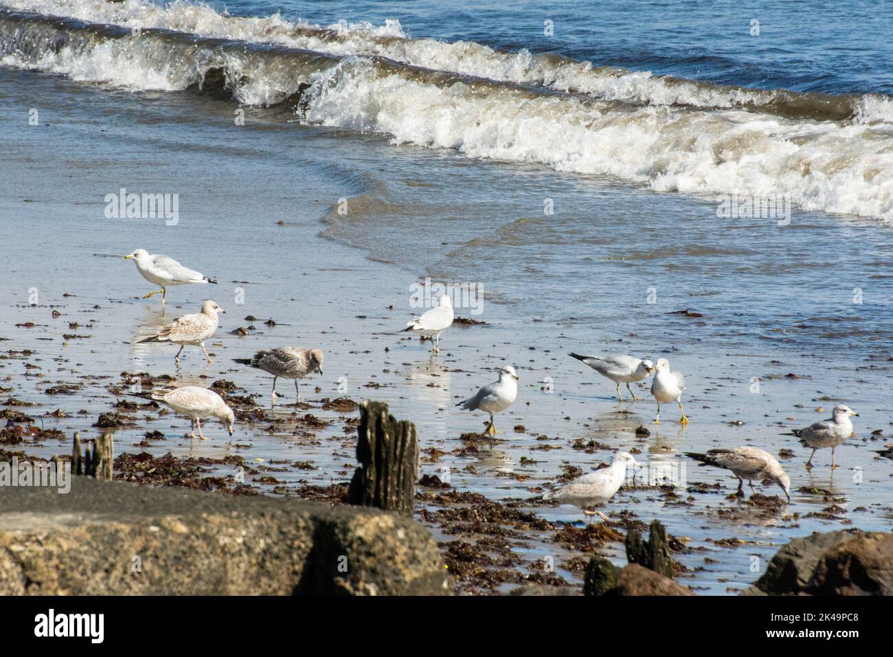Seascape composition hi-res stock photography and images - Alamy