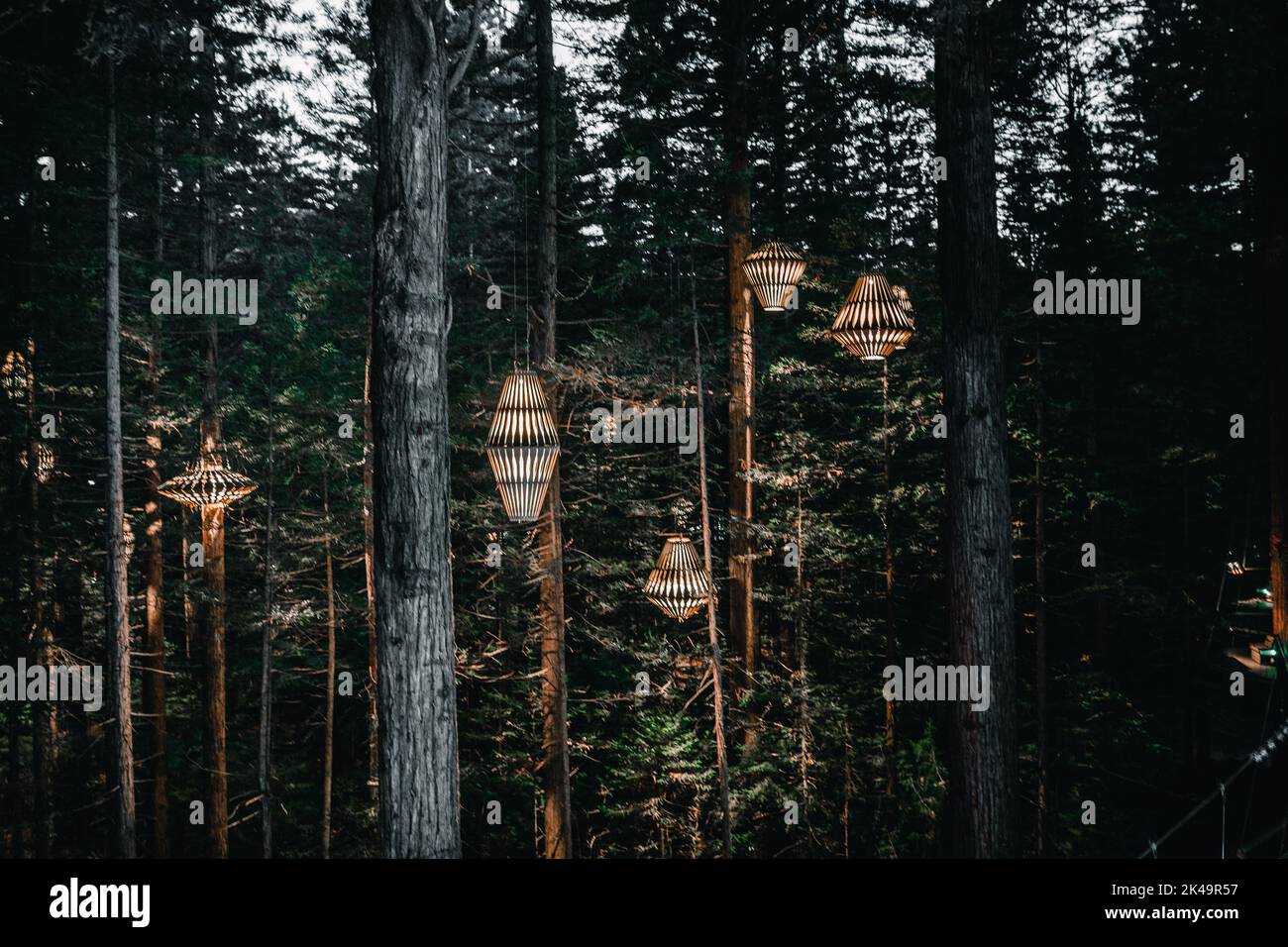 illuminated wooden lanterns of different sizes and shapes hang from ...