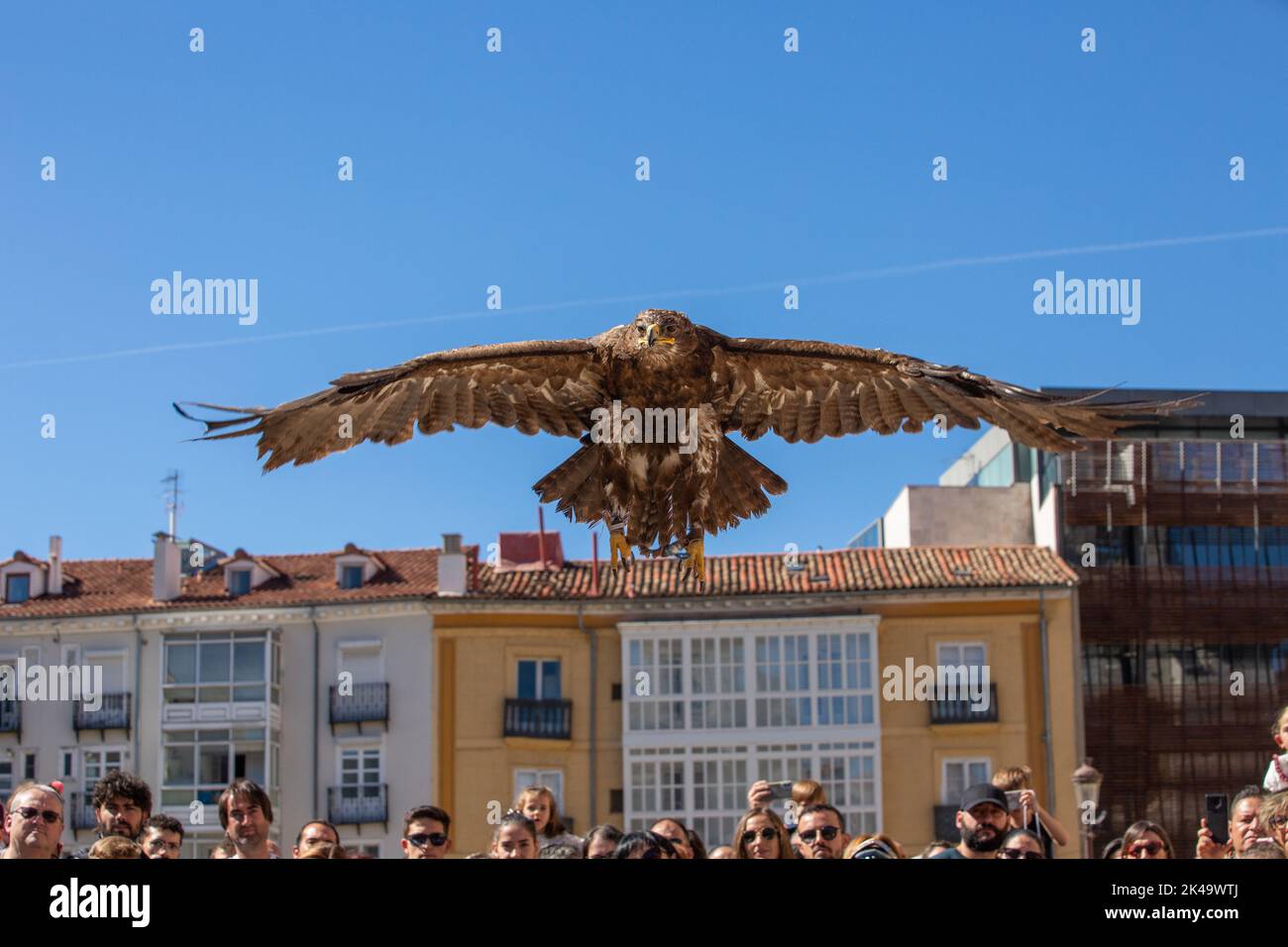 Burgos, Spain. 01st Oct, 2022. During Burgos Cidiano Fest in honor to ...