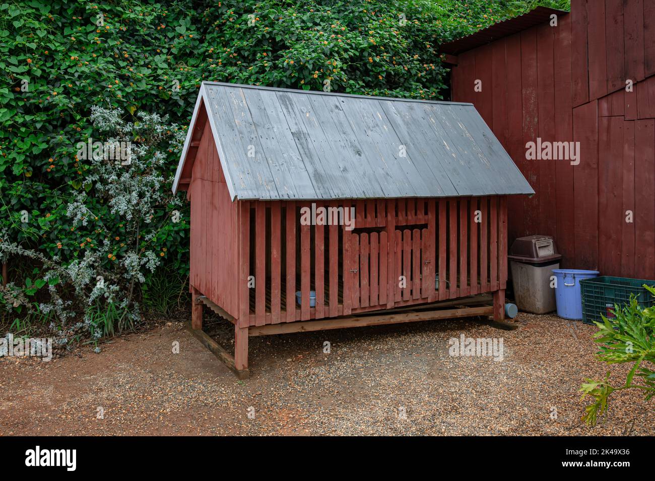 Red wooden chicken coop in farm yard background Stock Photo - Alamy