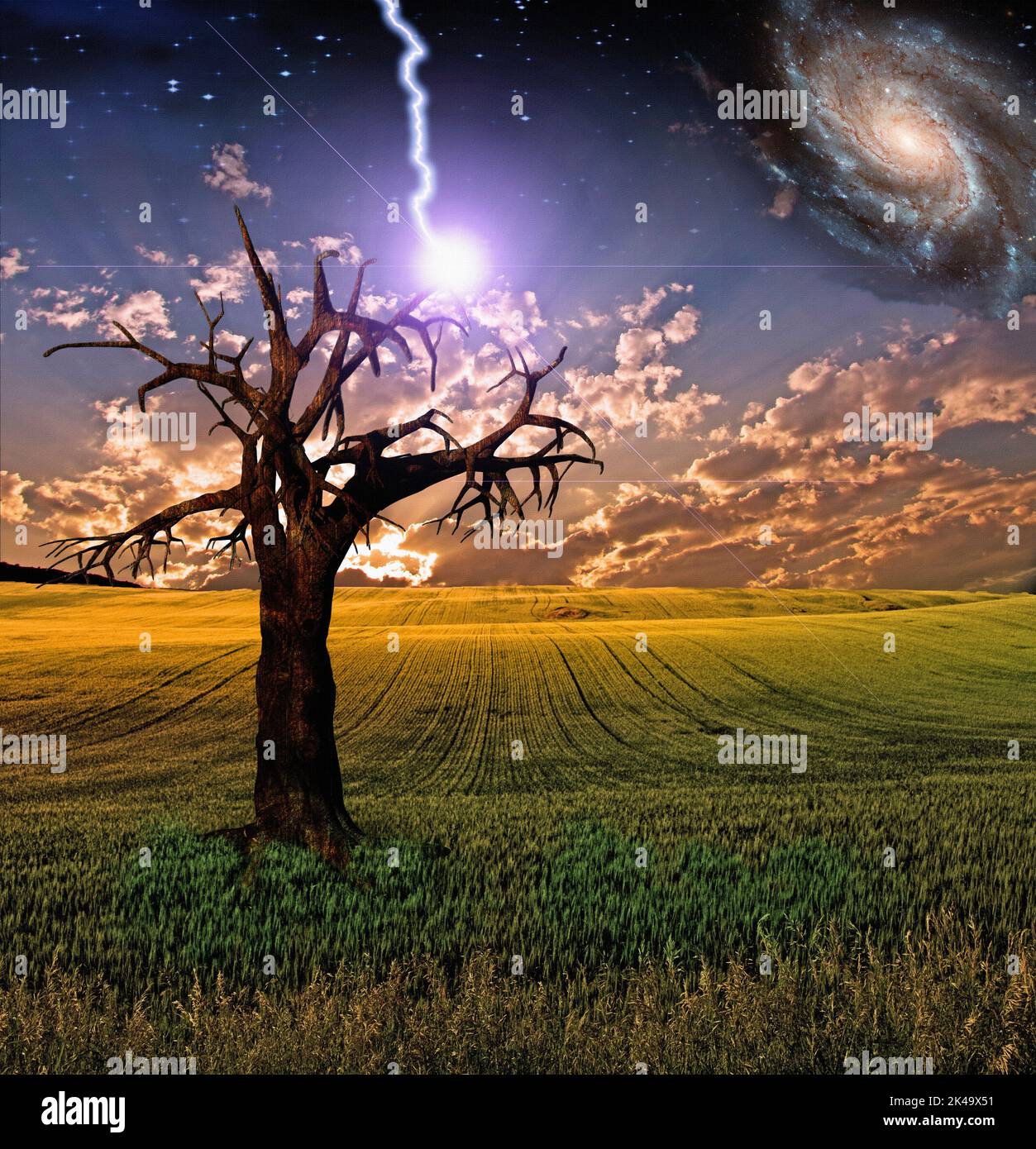 Surreal Sunset Field. 3D rendering Stock Photo - Alamy