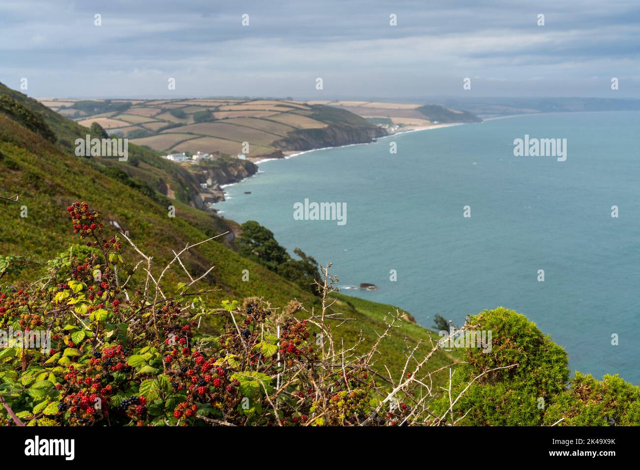 A landscape view of the South Devon Coast at Start Point with a ...
