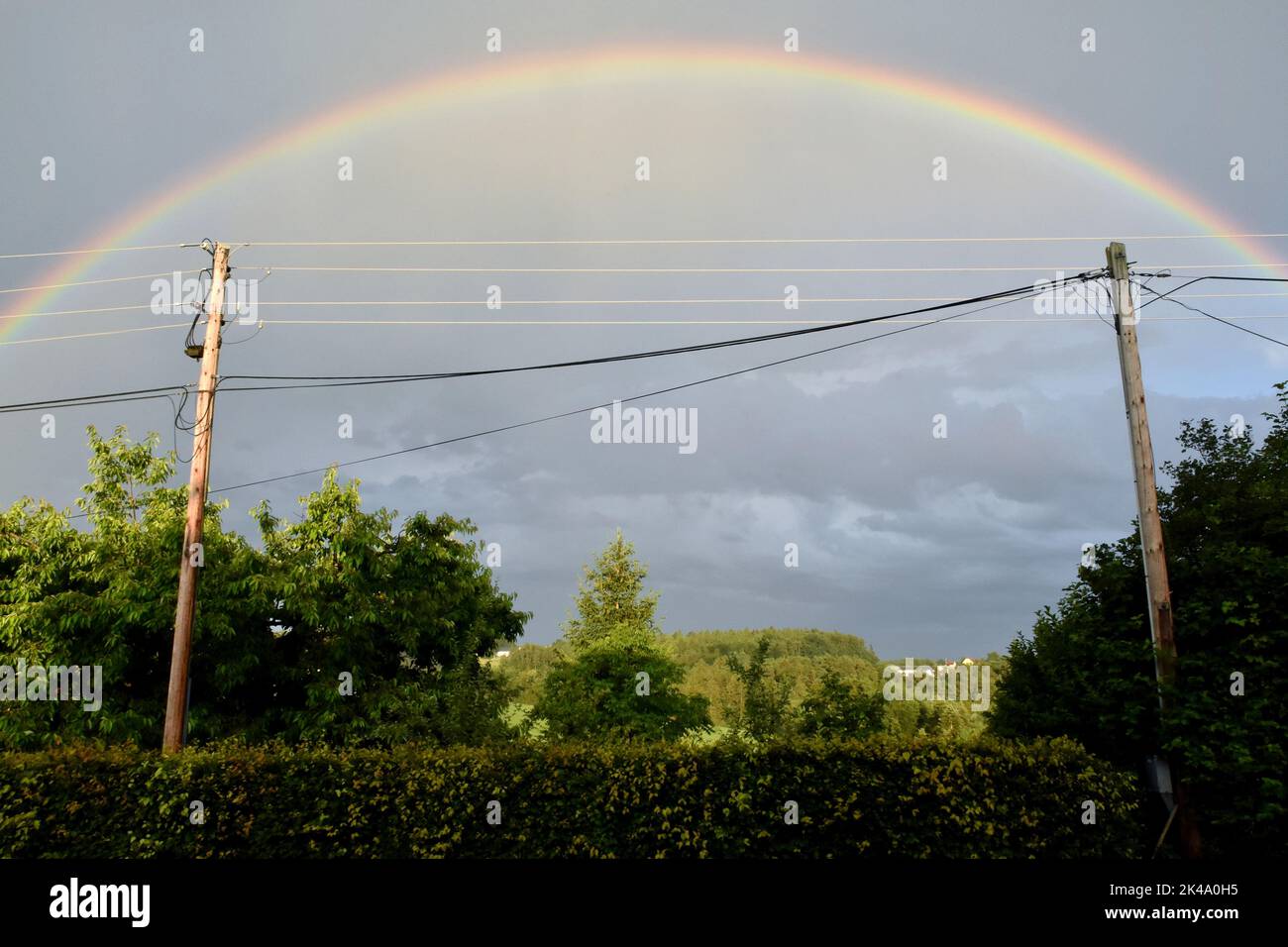 The low-angle view of a rainbow arch over the botanical plants and ...
