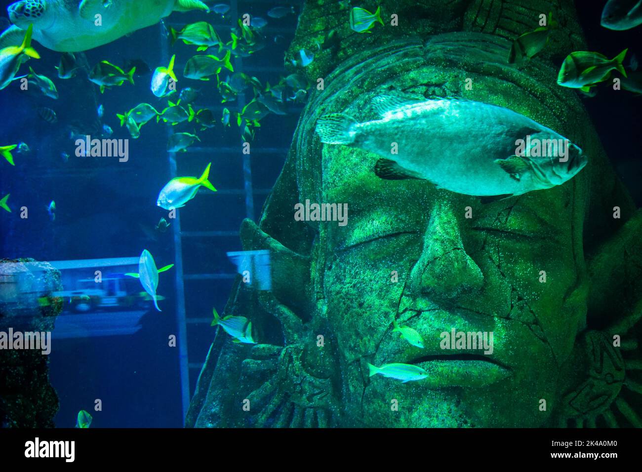 Tropical fish sculpture hi-res stock photography and images - Alamy