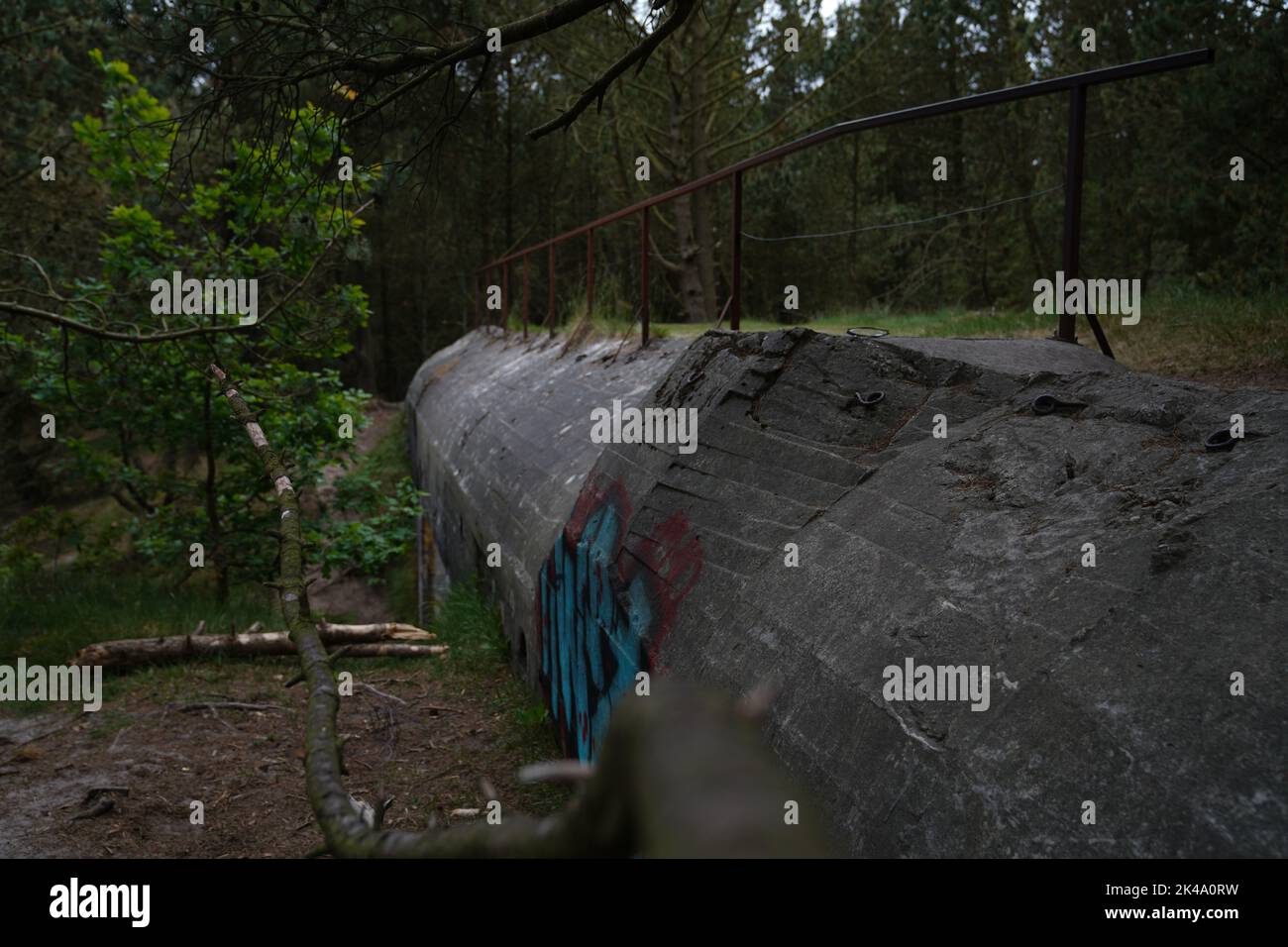 A view of a stone bridge with graffiti art in a forest Stock Photo - Alamy