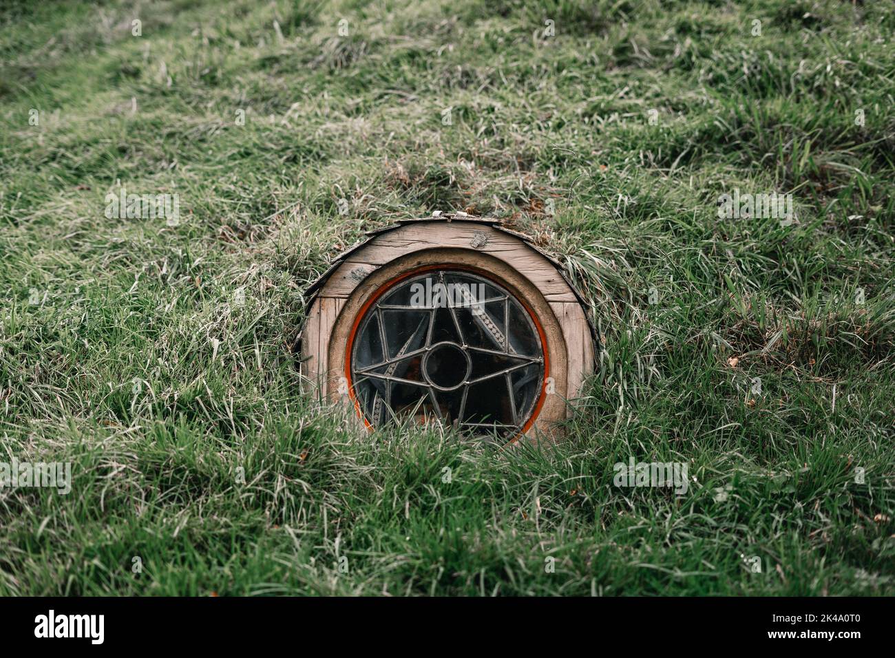 wood and glass window with metal grille hidden among the grass buried ...
