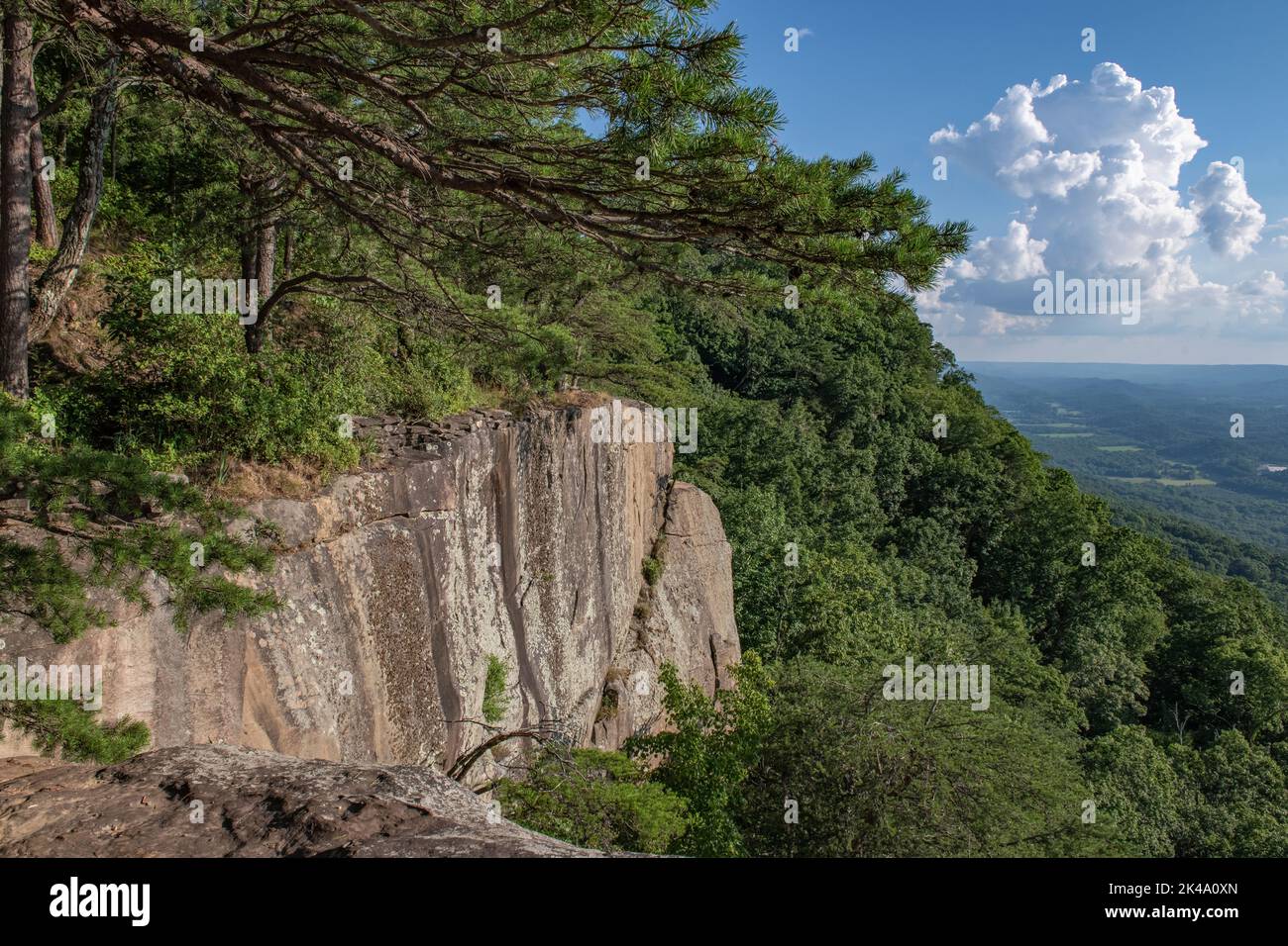 View From Cliffs Mountains Forest