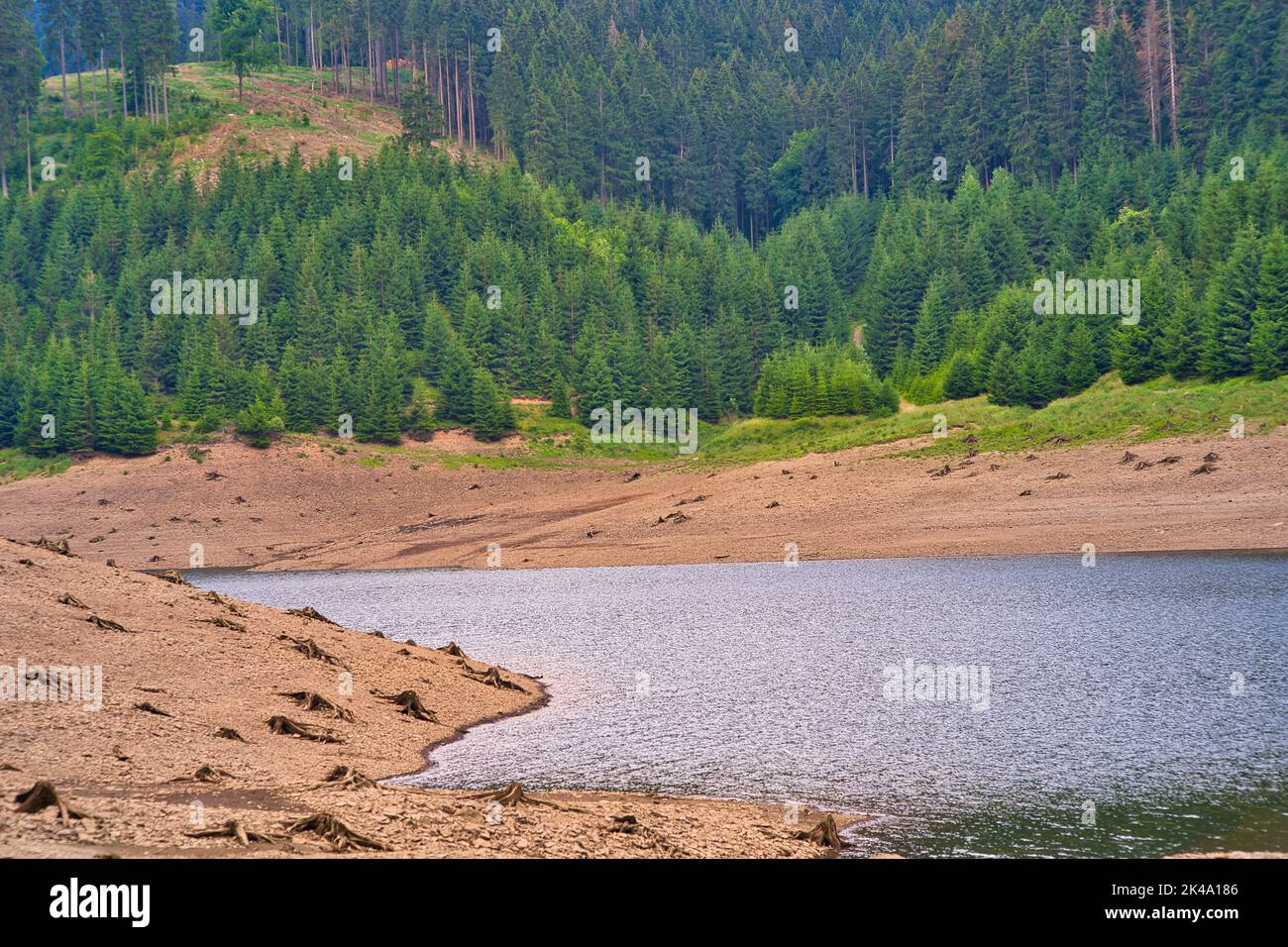 The Goldisthal pumped storage plant in the Thuringian Forest, Germany ...