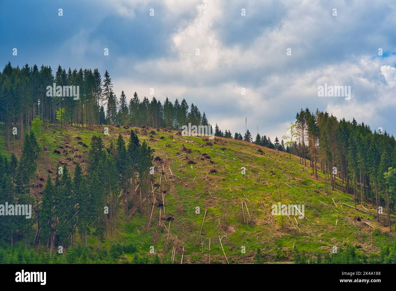 The Goldisthal pumped storage plant in the Thuringian Forest, Germany ...