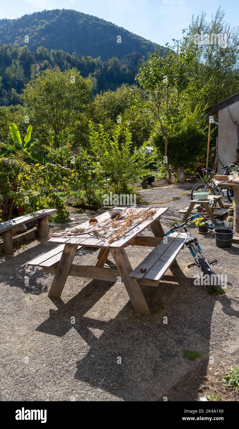 Wooden picnic table in a garden. Typical south french scene Stock Photo ...