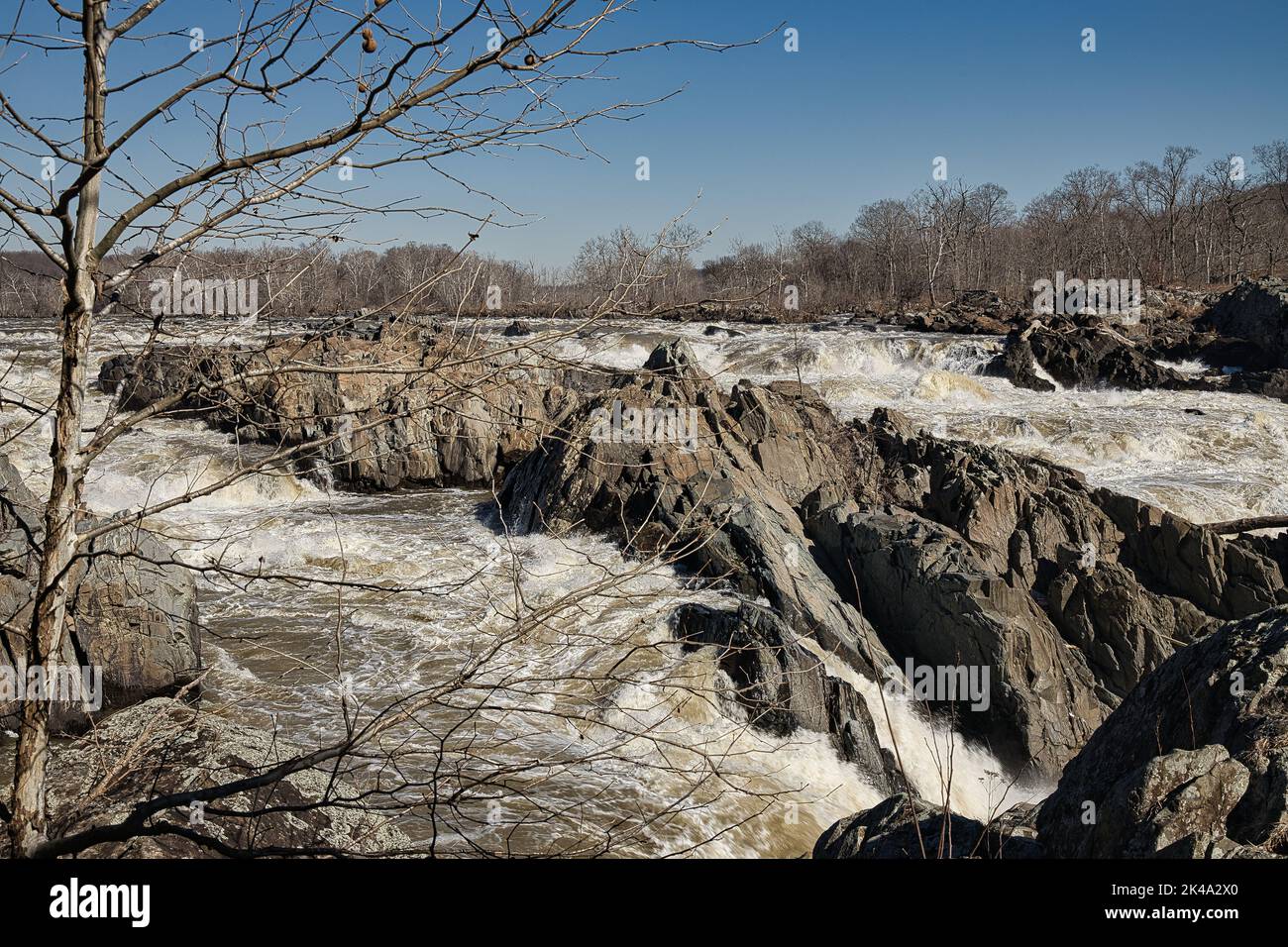A beautiful view of a river flowing in the forest on a sunny day Stock ...