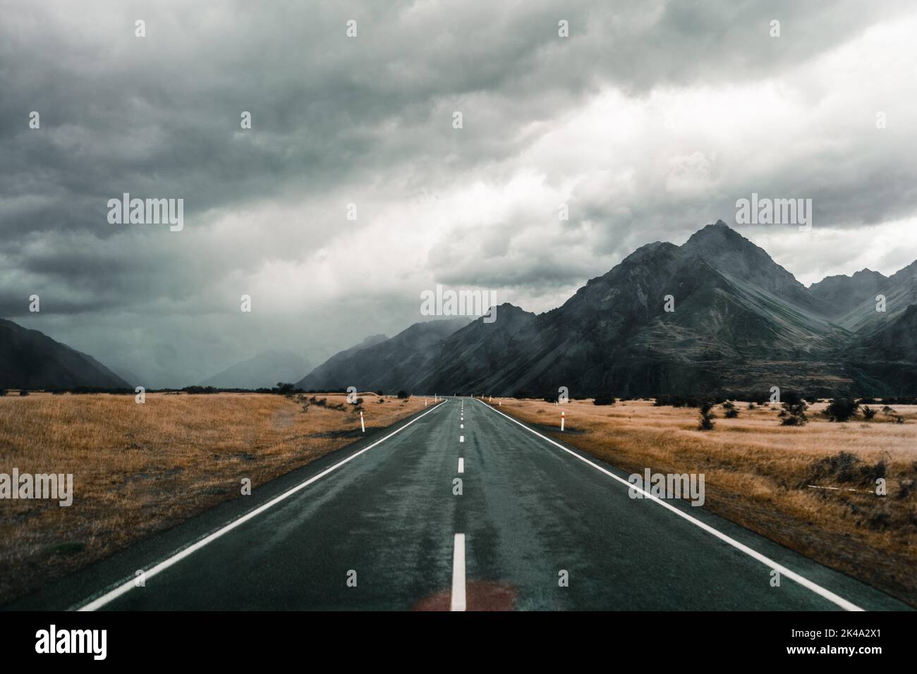 long lonely road crossing a quiet field with few trees and sparse ...