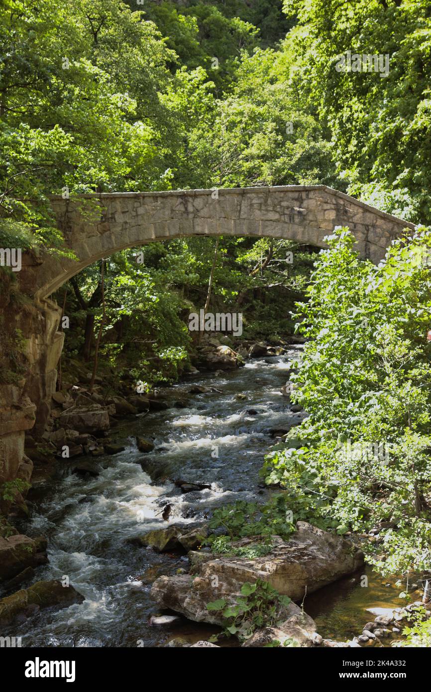 A vertical shot of a small stone bridge over the river in the forest ...