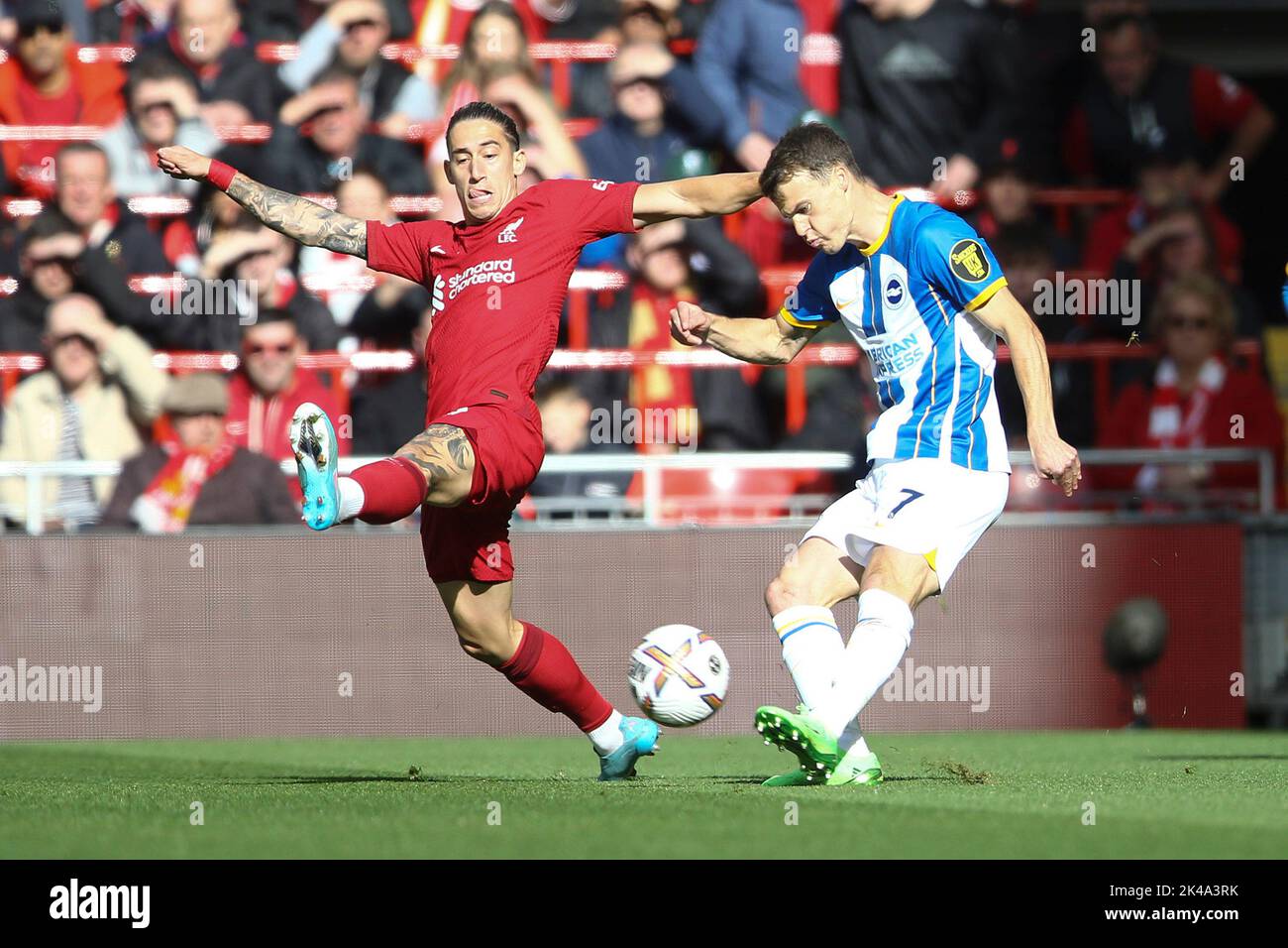 Solly march brighton 2022 hi-res stock photography and images - Alamy