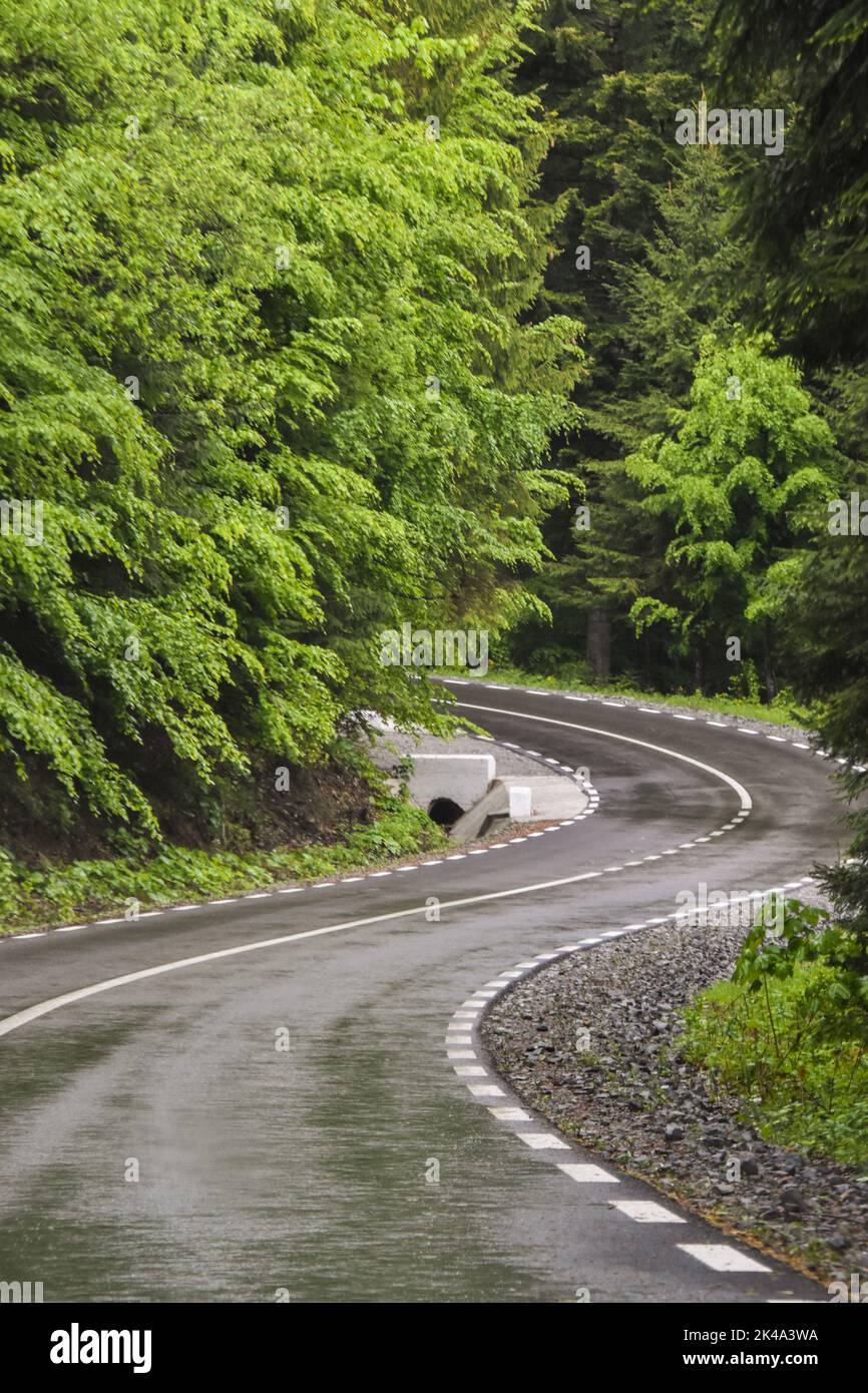 A mesmerizing vertical view of a curvy highway road through a green ...