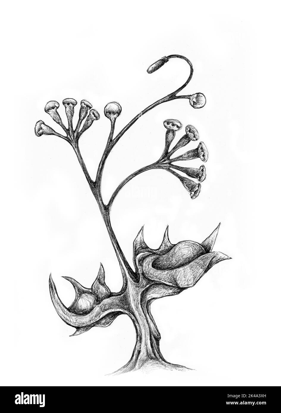 Foliage and flowers Cut Out Stock Images & Pictures - Alamy