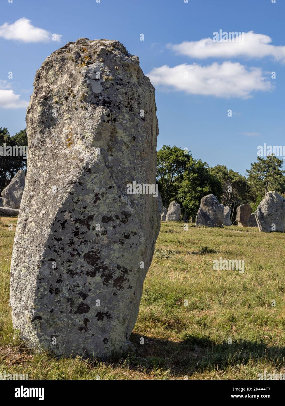 A vertical shot of menhirs in green field in Carnac, France Stock Photo ...