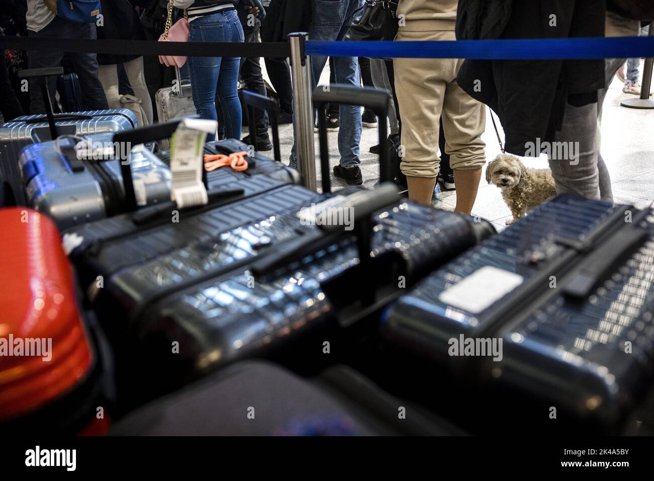 2022-10-01 18:15:29 EINDHOVEN - Travelers at Eindhoven Airport are ...