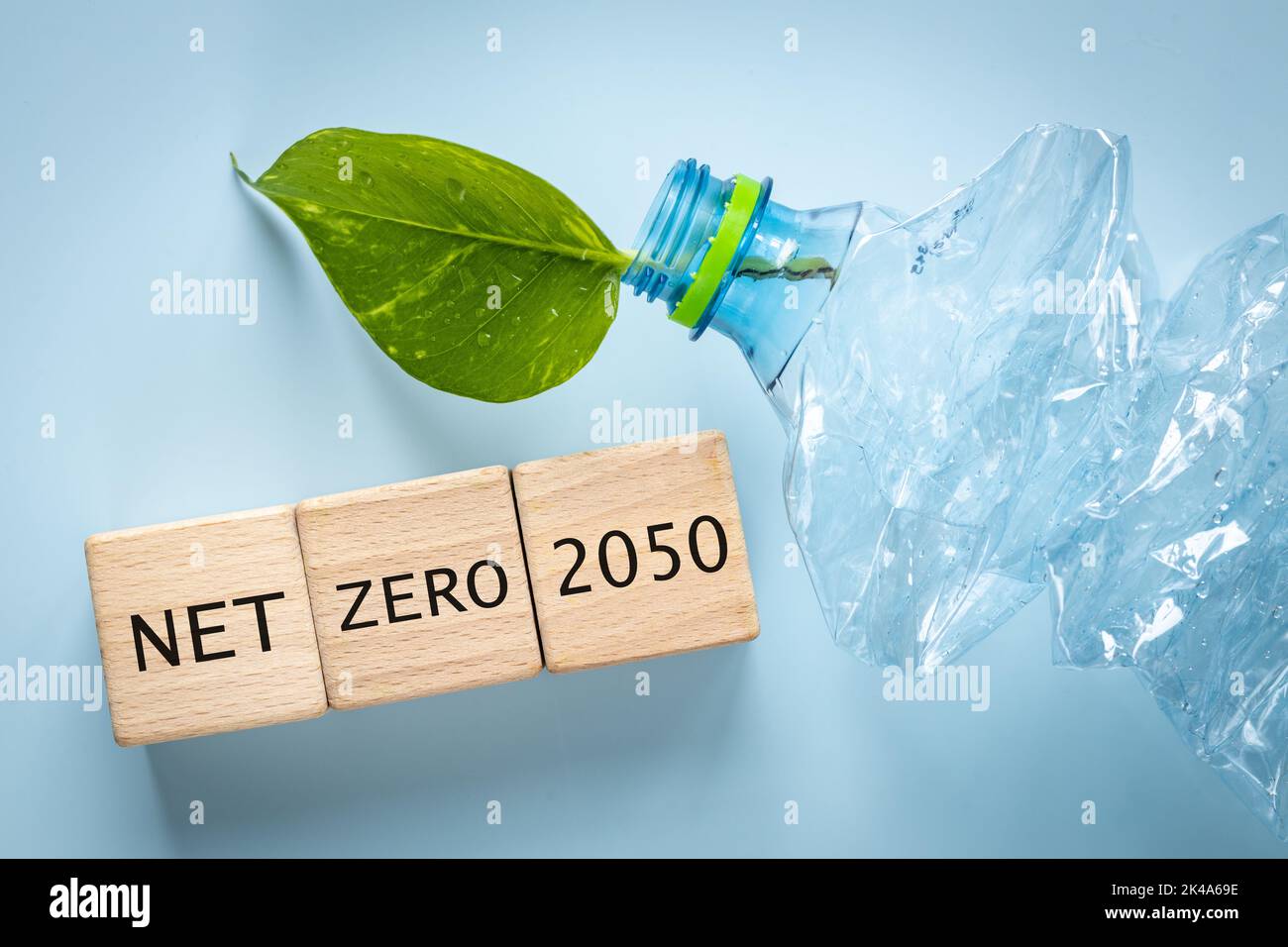 A crushed plastic bottle with a young green leaf growing out of it ...