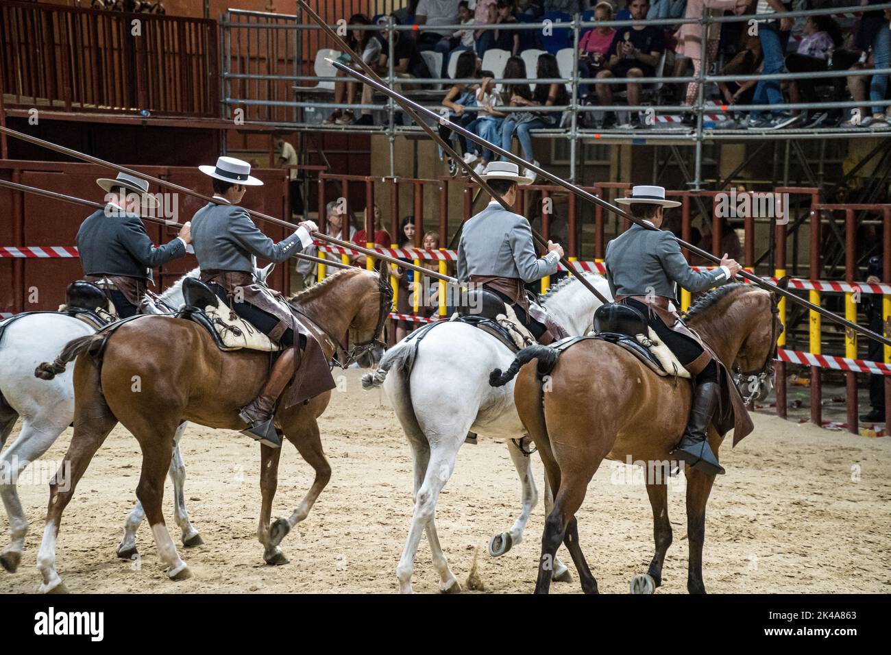 Equestrian show passion and duende of the Andalusian horse in the ...