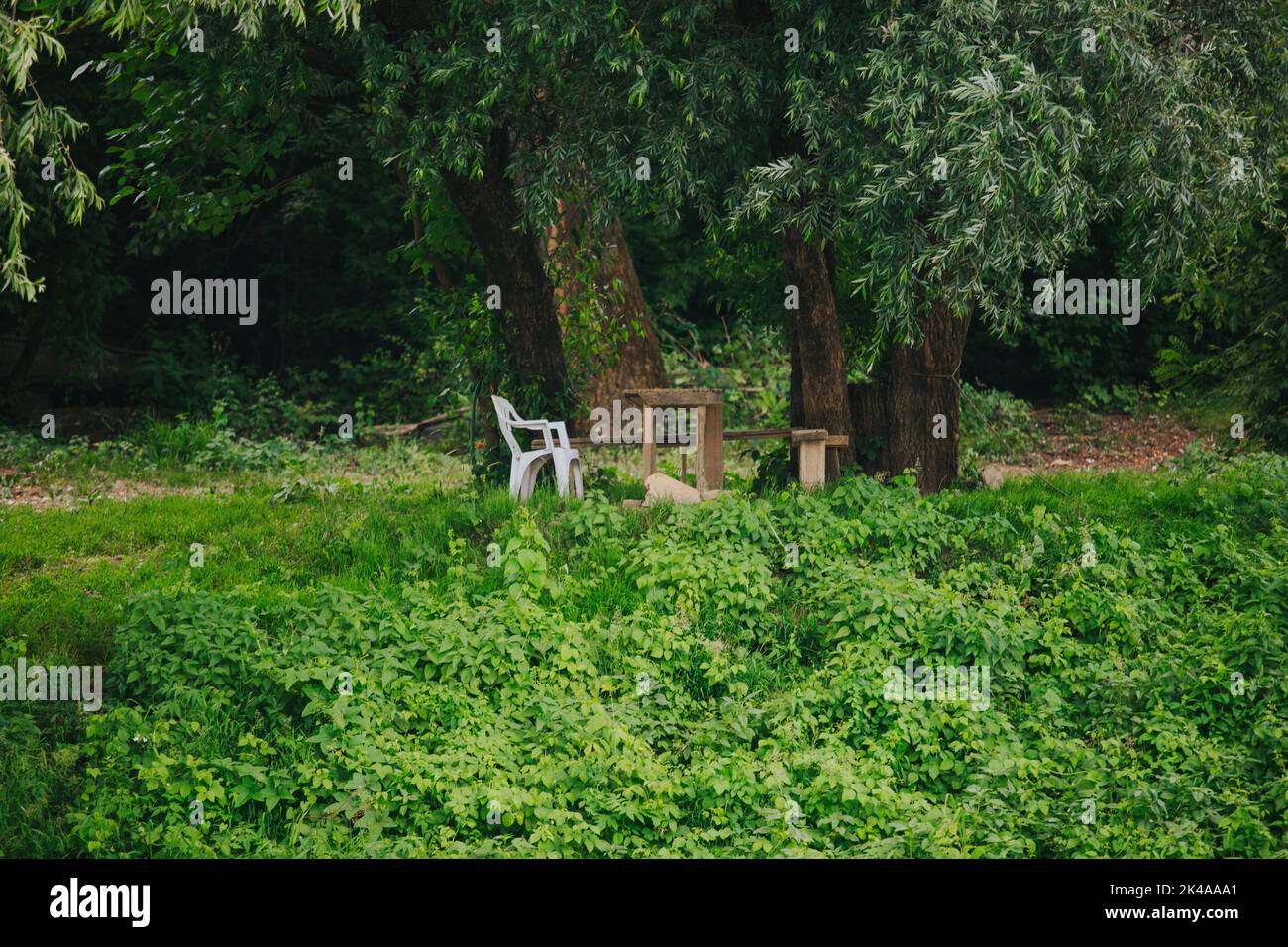 A plastic chair by a wooden table under a tree in a forest Stock Photo ...