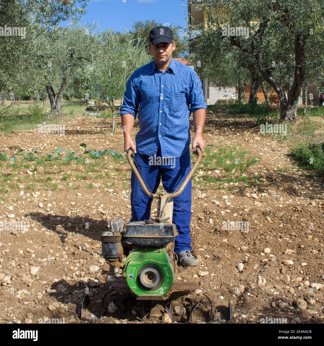 Farmer with a tiller while he tills a land for the cultivation of the ...