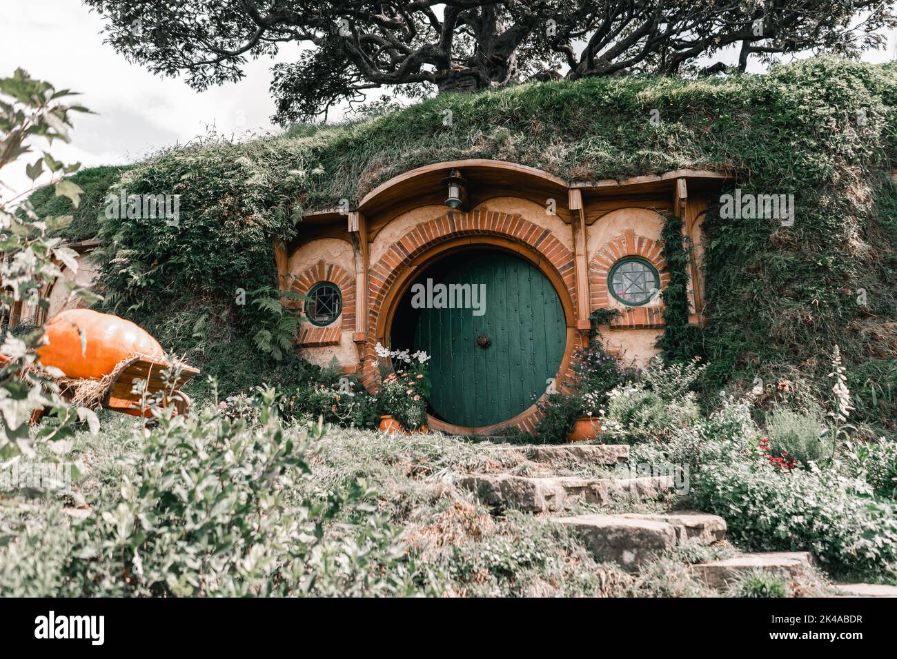 stone stairs among the grass leading to the nice wooden and brick house ...
