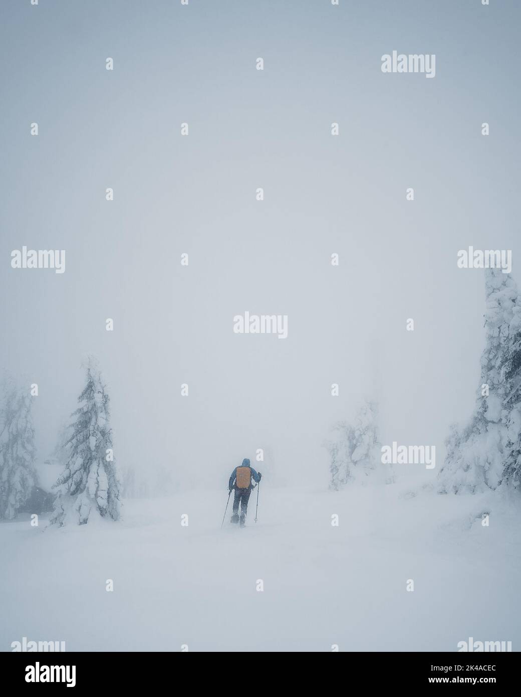 A breathtaking vertical snowy misty landscape with a person Alpine ...
