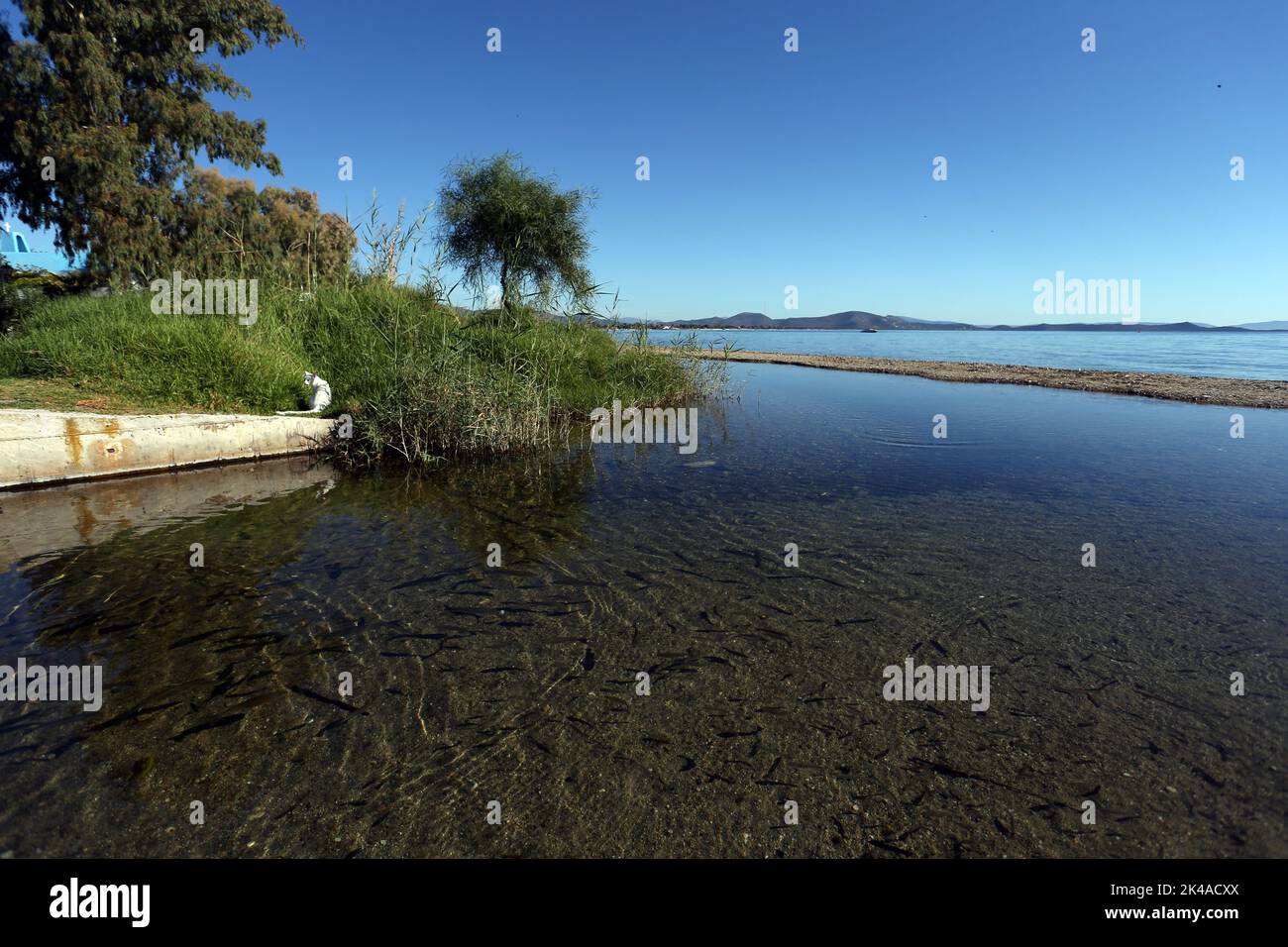 Marathon beach greece hi-res stock photography and images - Alamy