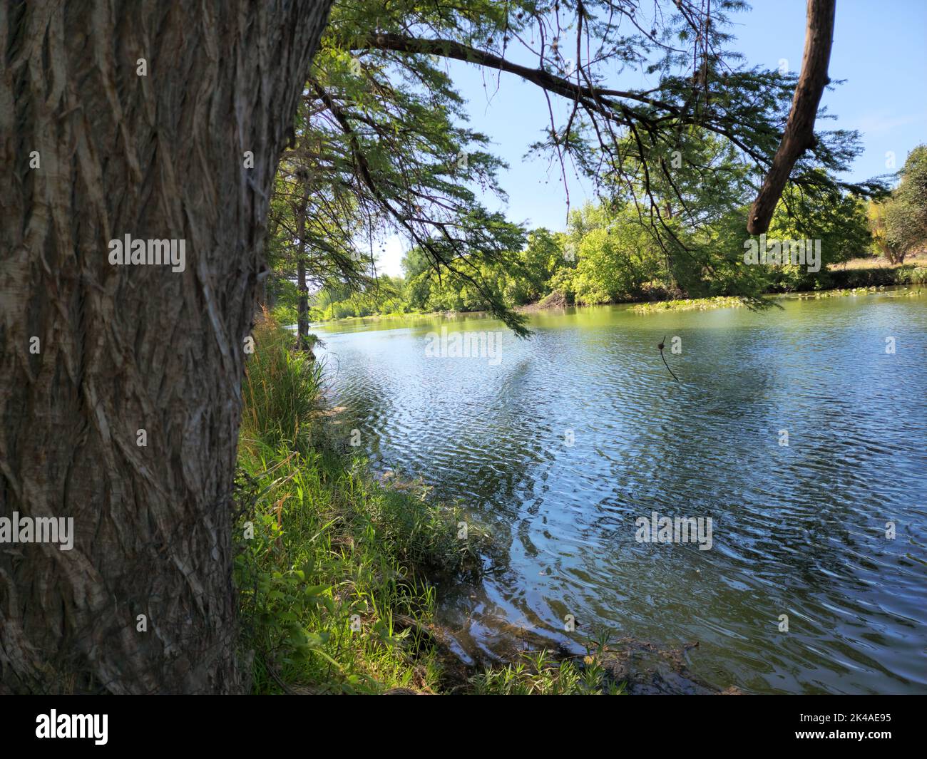 Kerrville texas hi-res stock photography and images - Alamy
