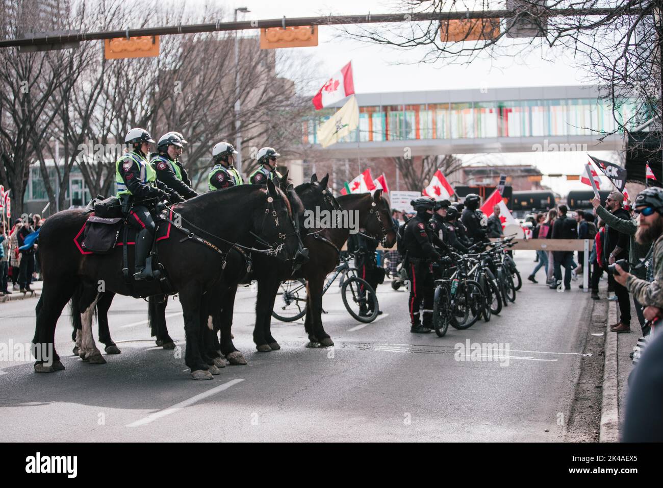 A Mounted police unit in Calgary City Hall Canadian flags waving in the ...