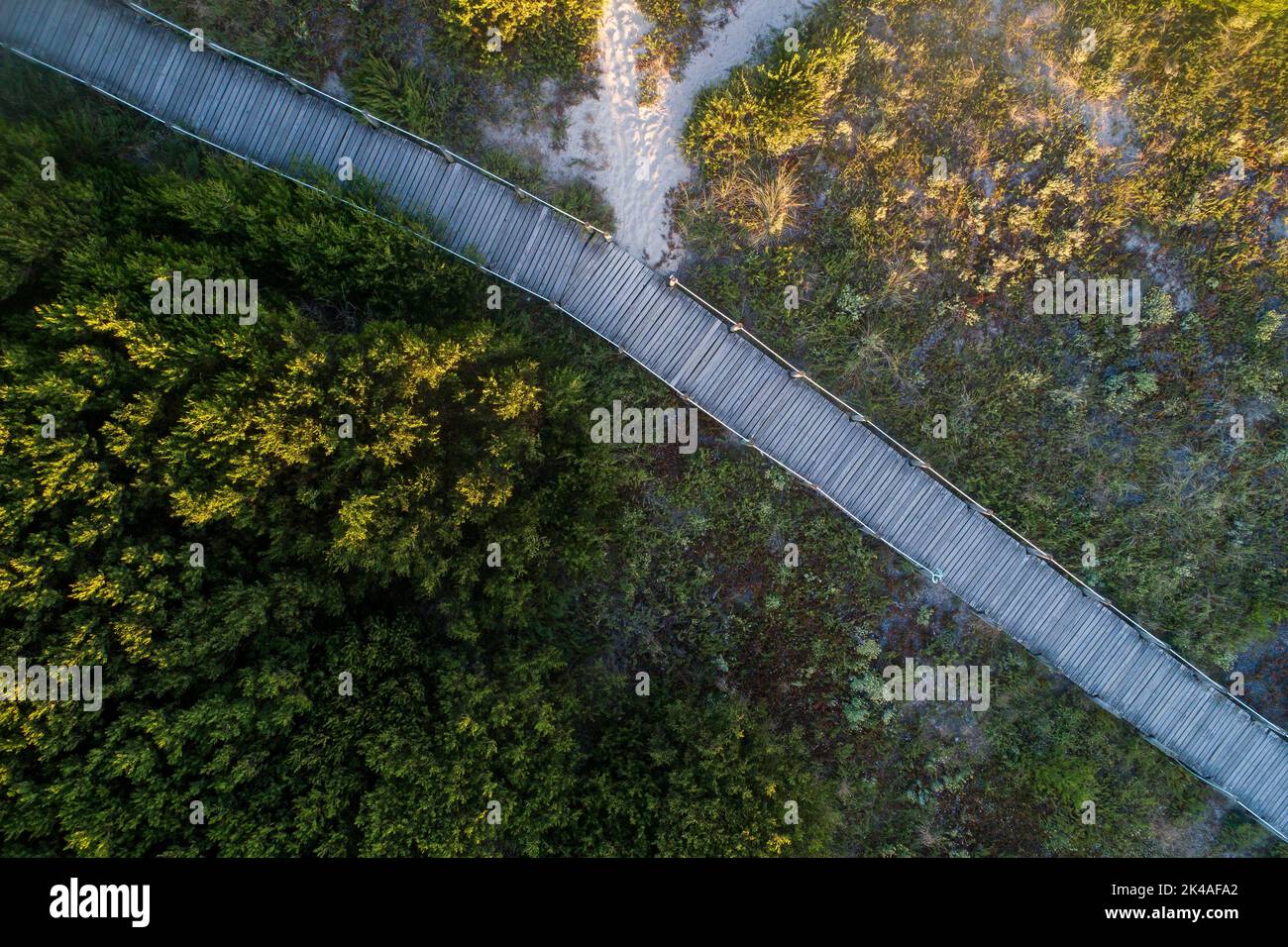 aerial view of a wooden boardwalk on a beach Stock Photo - Alamy