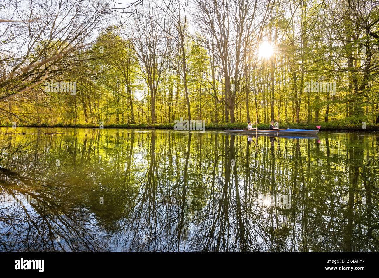 A beautiful clear reflective lake with trees on the shore under a sunny ...