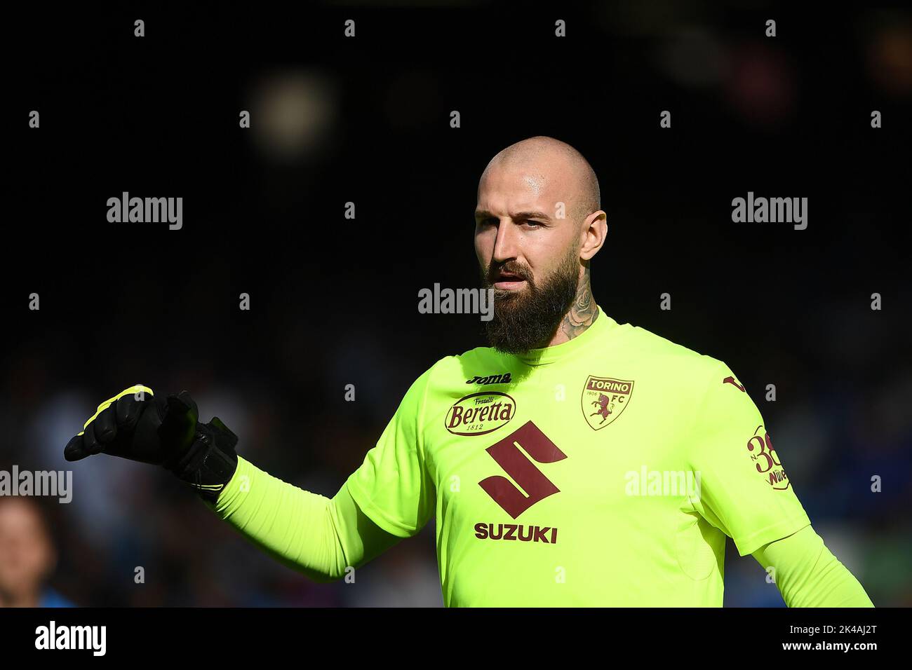 Vanja Milinkovic-Savic of Torino FC during the Serie A match between ...