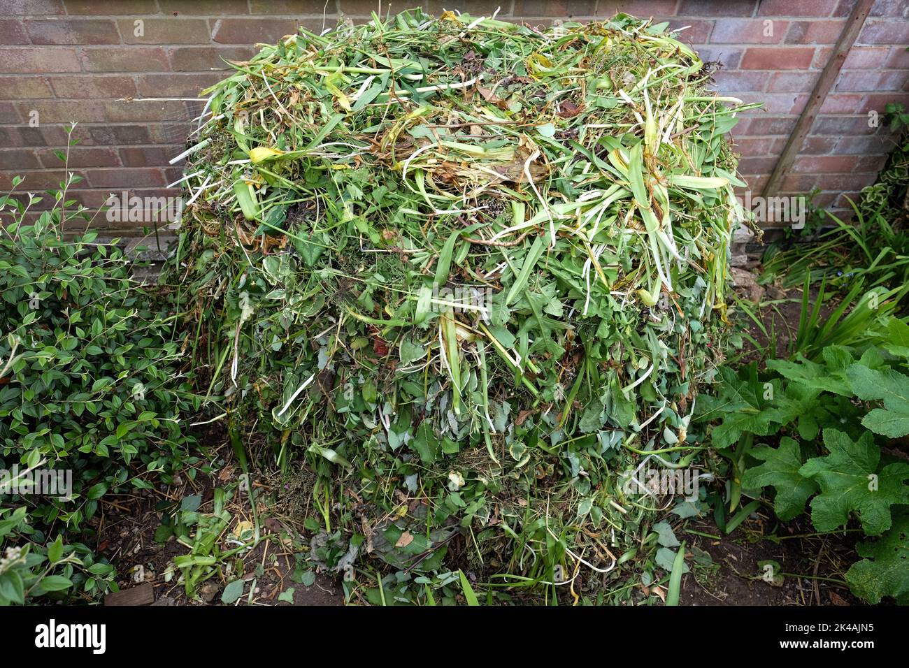 garden waste rotting down Stock Photo - Alamy