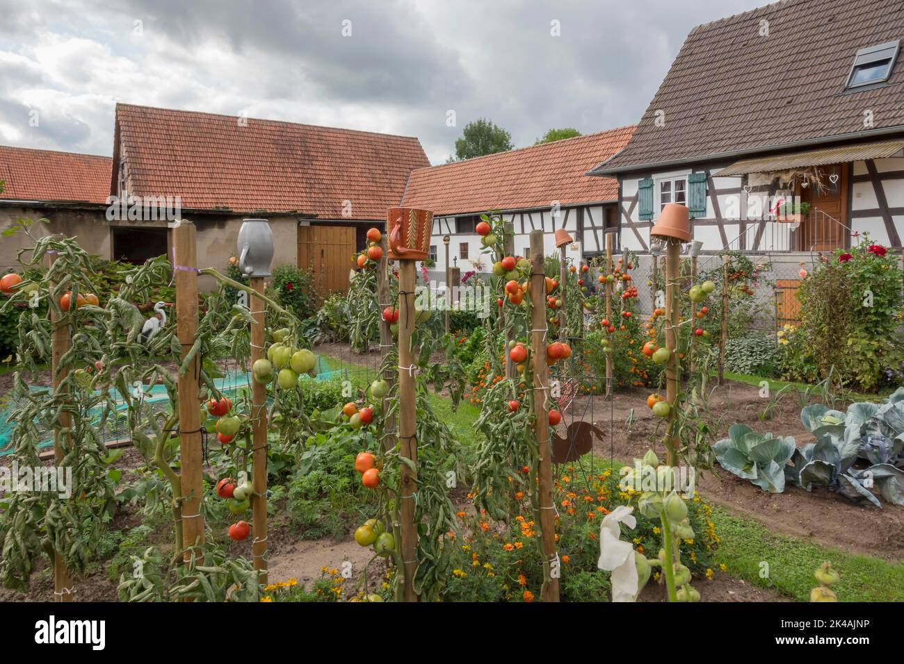 Vegetable garden at an old farm, Seebach, Departement Bas-Rhin, Alsace ...