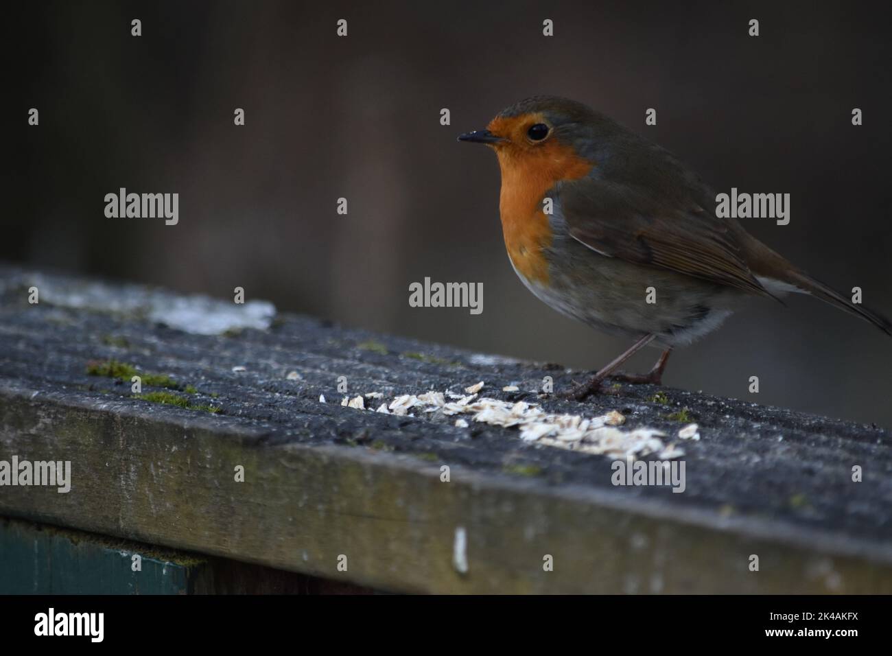 Lacken walk hi-res stock photography and images - Alamy
