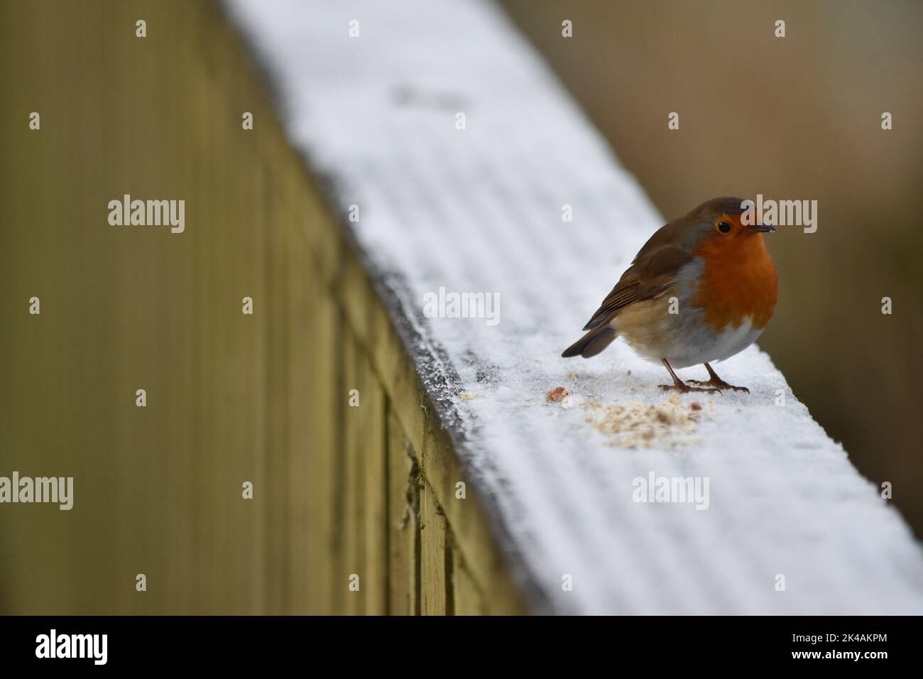 Lacken walk hi-res stock photography and images - Alamy
