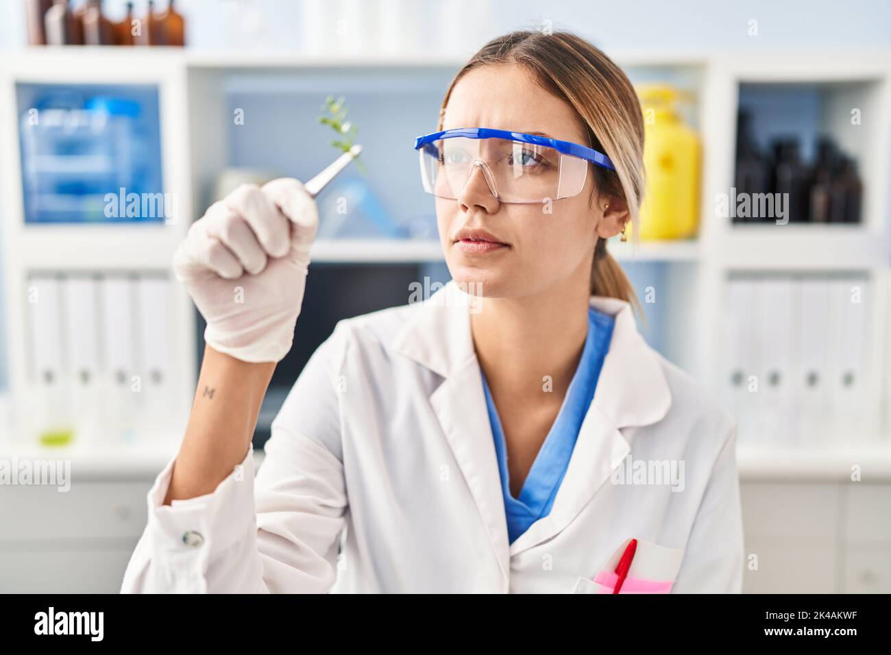 Young hispanic woman scientist holding plant sample with tweezer at ...