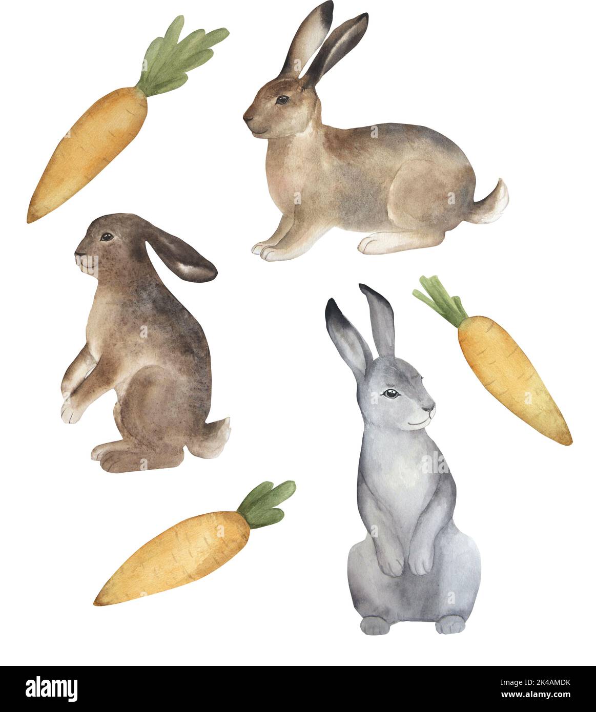 Watercolor illustration of cute rabbits with carrots Stock Photo - Alamy
