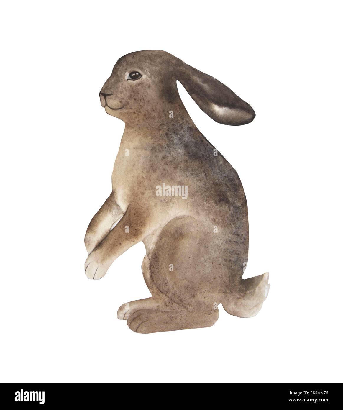Watercolor illustration of cute gray and brown rabbits isolated on ...