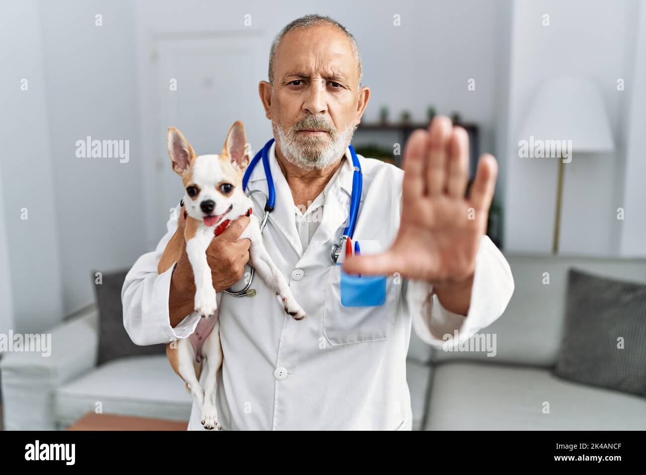 Mature veterinarian man checking dog health with open hand doing stop ...