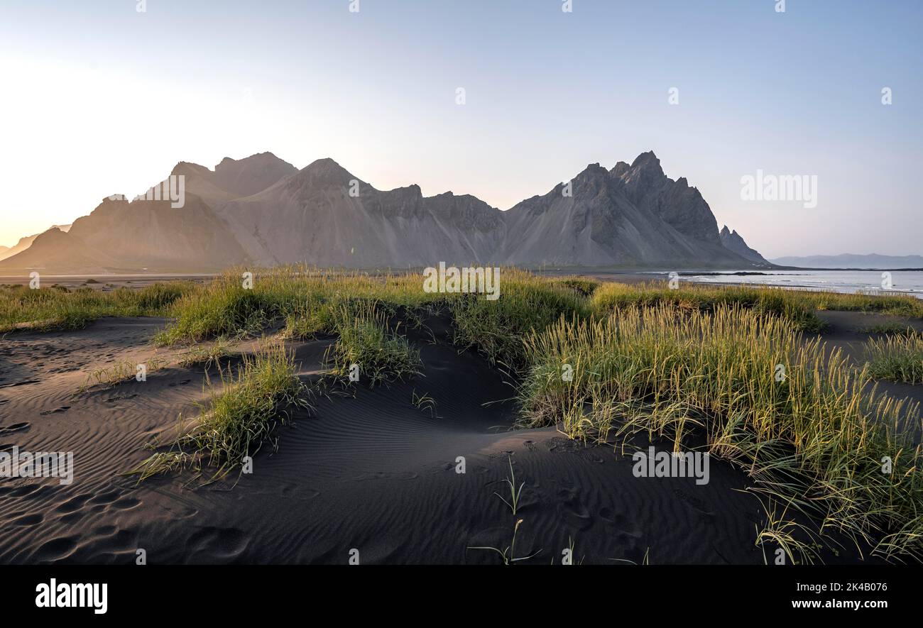 Black beach with volcanic sand, sandy beach, dunes with grass ...