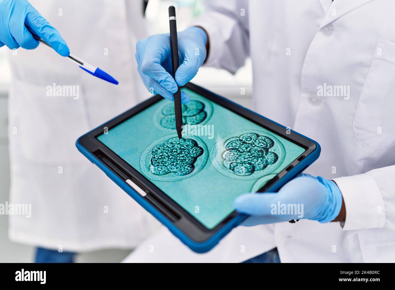 Man and woman scientist partners looking embryo image on touchpad at ...
