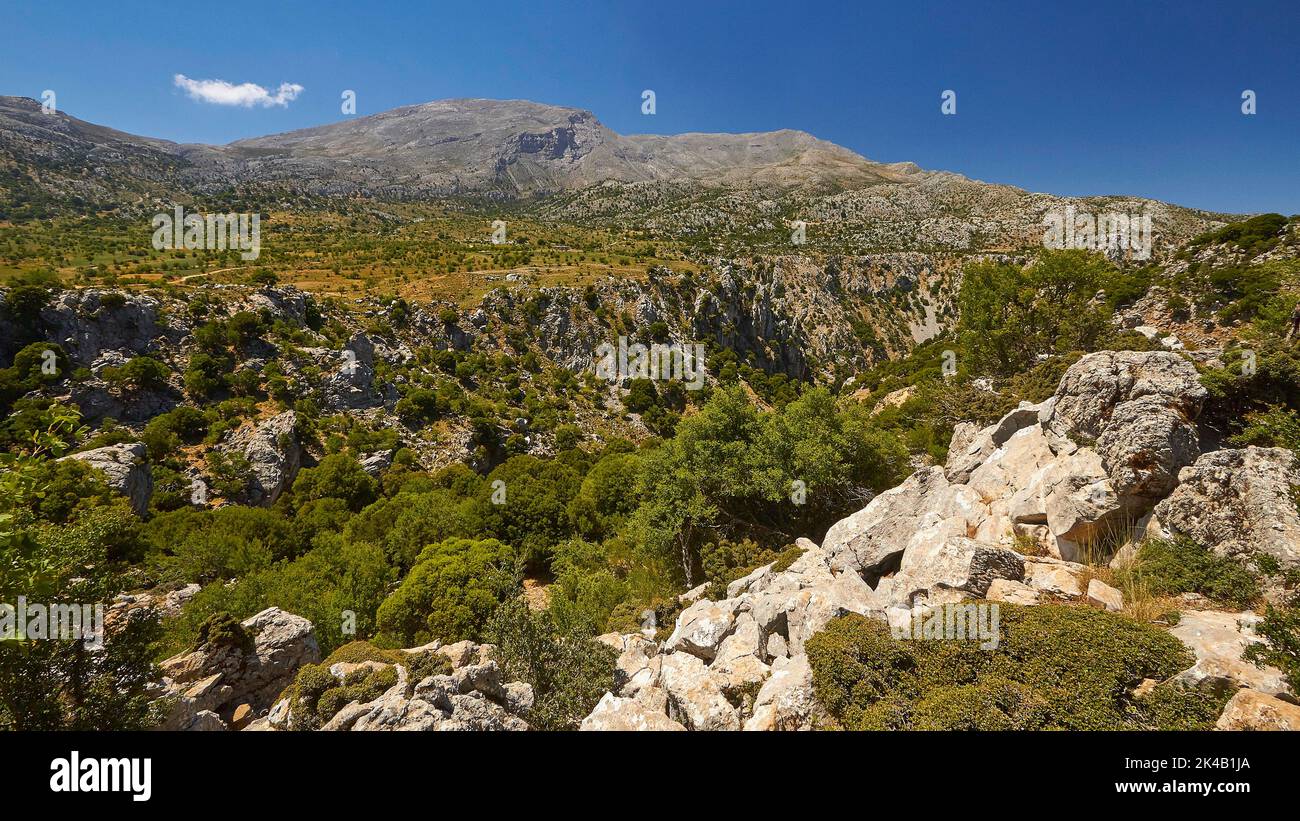 Katharo plateau, Katharo, gorge, bushes, Machia, grey mountains, blue ...