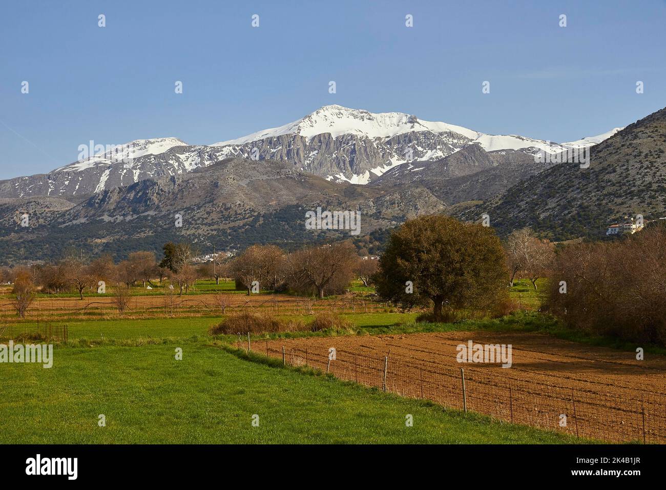Green meadows, fields, trees, spring, Dikte massif, snow-capped ...